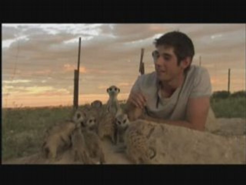 Meerkat Manor Movie - Exclusive Behind the Scenes! - video Dailymotion
