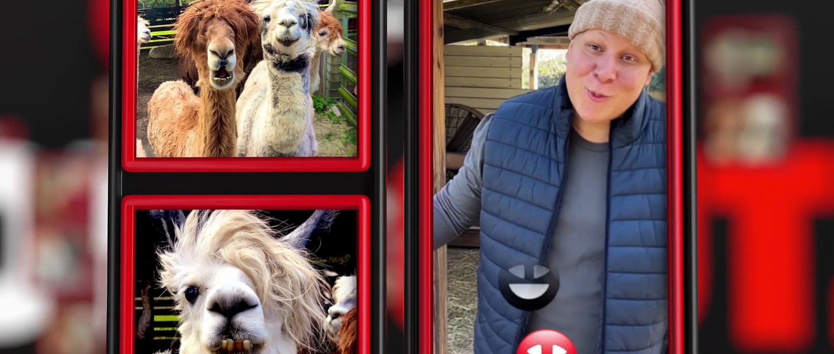 Alpaca | movie | 2025 | Official Trailer - video Dailymotion