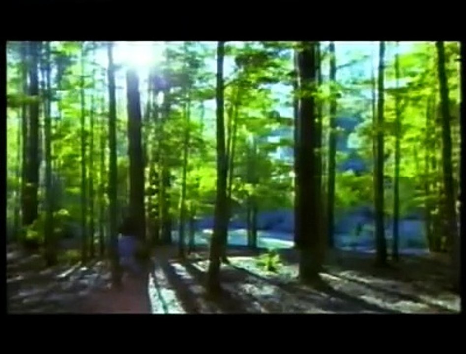 The Ten Plagues of Egypt - video Dailymotion