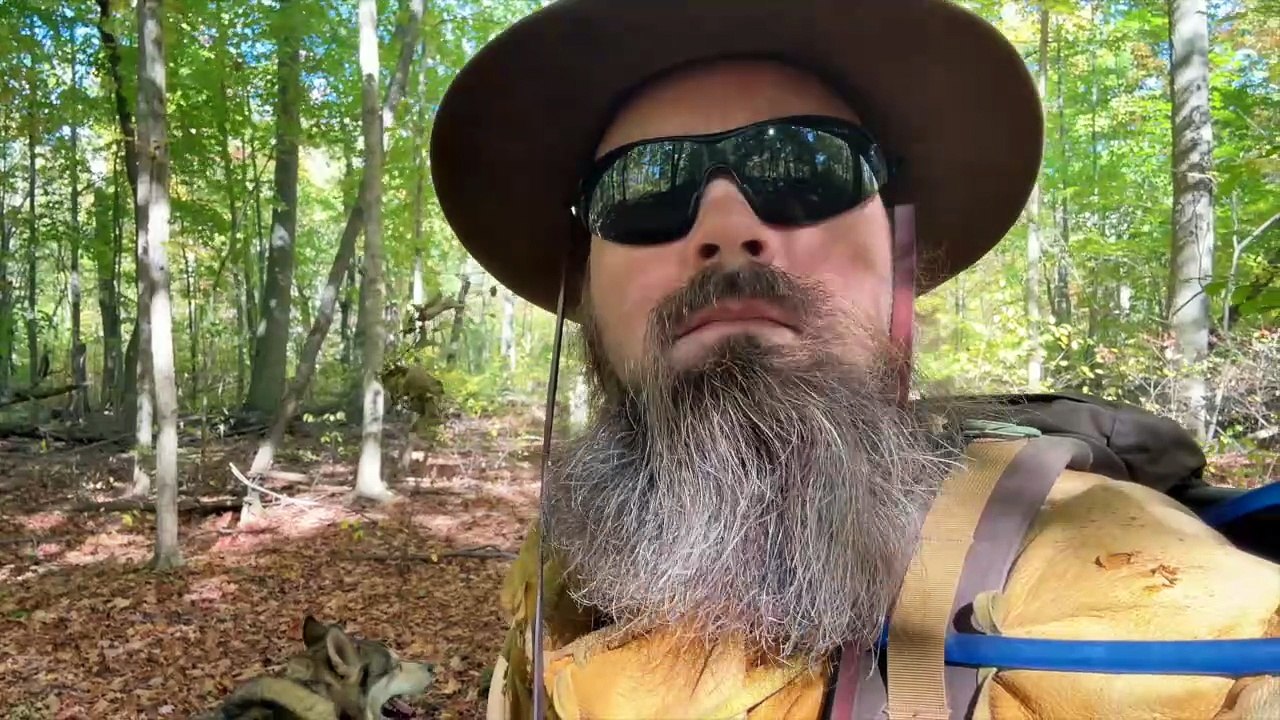 🌲 A Peaceful Day in the Woods — Bushcraft, Shelter, Fire & Coffee 🌲 ...