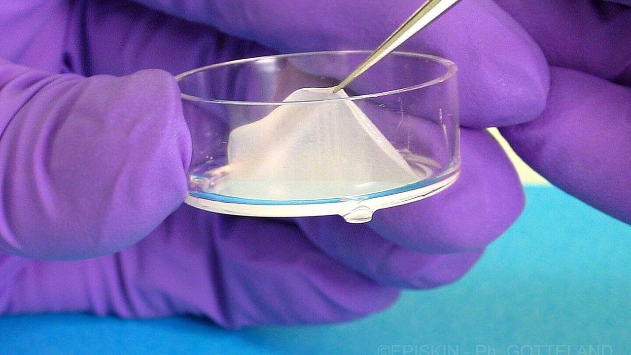 3D-Printed ‘Skin’ Could End the Need for Animal Testing in Cosmetics ...