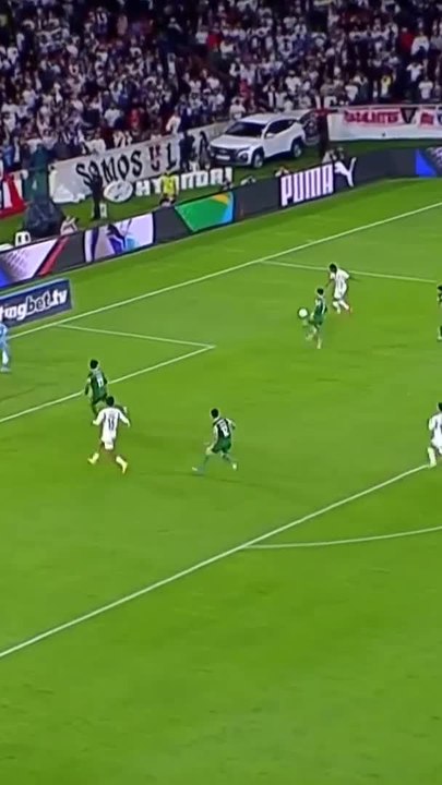 Top Goles LDU Quito vs. Palmeiras - video Dailymotion