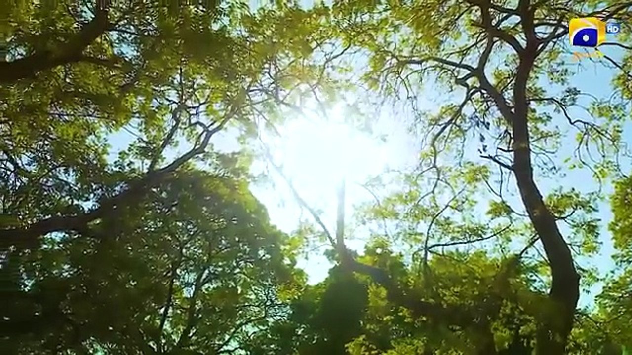 Haya Episode 51 [Eng Sub] Sumbul Iqbal Mirza Zain Baig 11th November ...