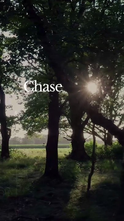 One more day! - video Dailymotion