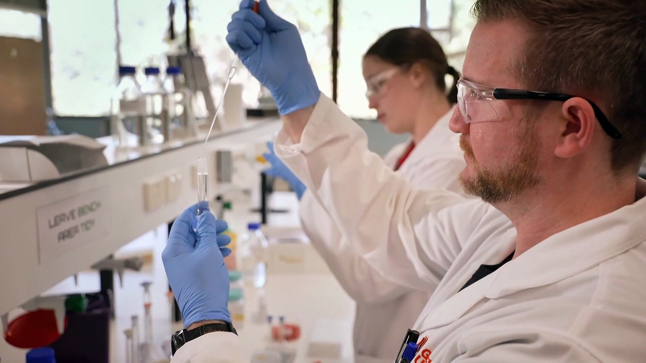 Anabolic steroid testing program caught up in QLD drug checking ban ...