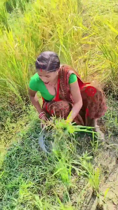 32 Bihari Anisha Vlogs #viralreelsシ - video Dailymotion