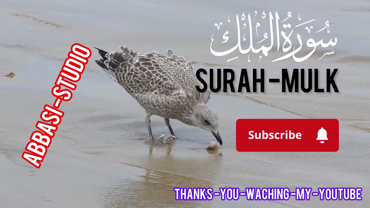 Surah Al-Mulk | سورۃ الملک | Beautiful Tilawat | Power of Surah Al Mulk ...