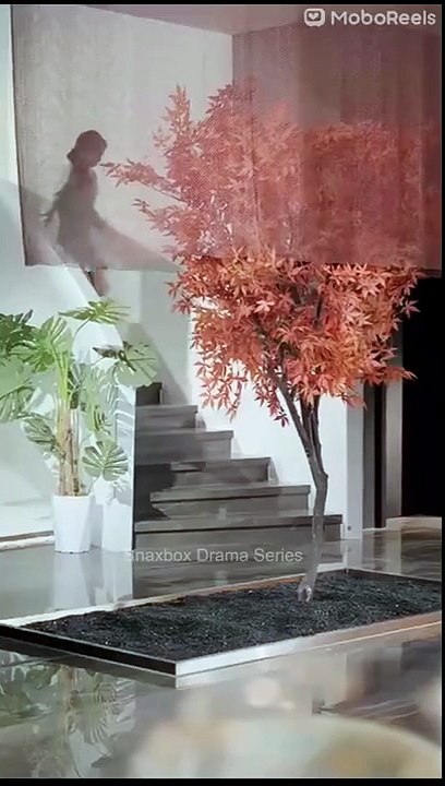 Fake Wife True Love Chinese Drama - English Sub - video Dailymotion