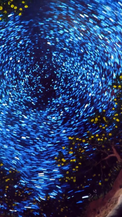 Meloni - Oggi all’inaugurazione della Funivia delle Mele del Consorzio ...