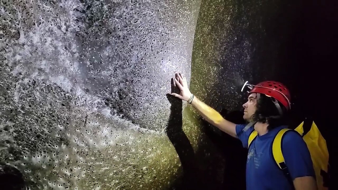 Mais de 100 mil aranhas descobertas em teia gigante numa gruta grega ...