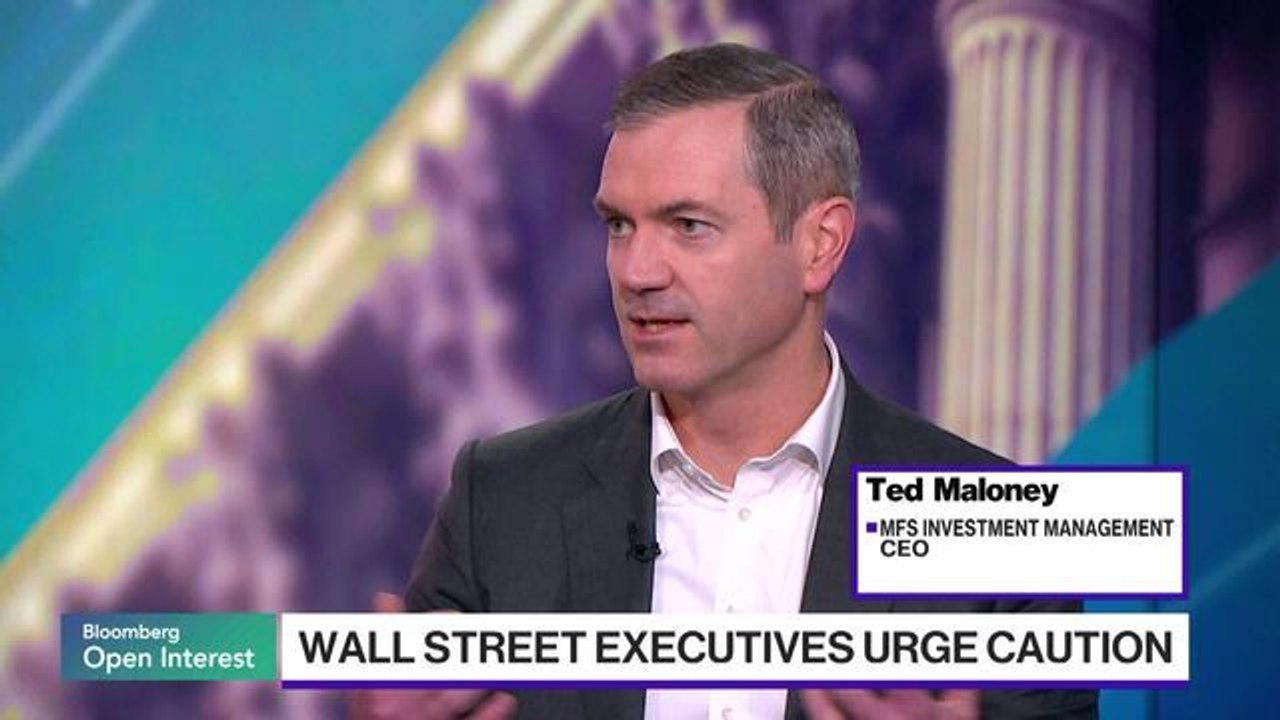 MFS CEO Ted Maloney Warns on Market Concentration - video Dailymotion