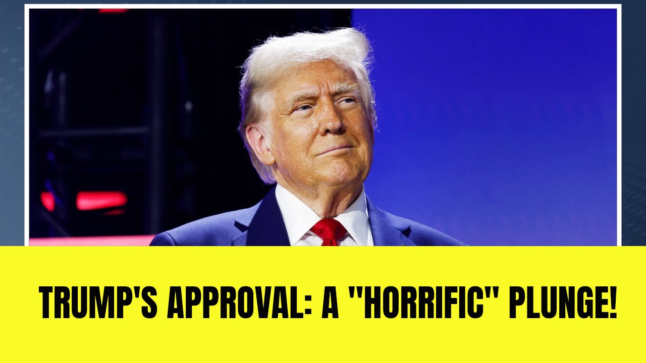 Trump Claims High Poll Numbers - video Dailymotion