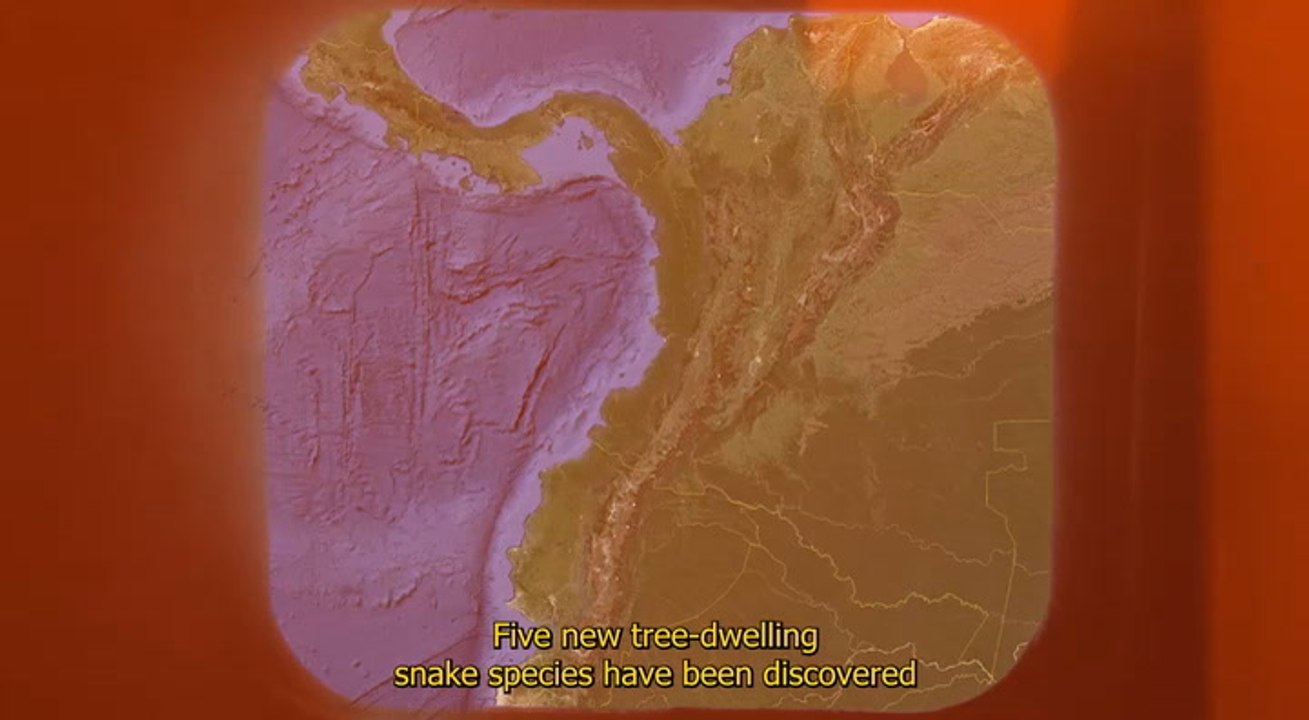 Snail-Eating Snake Named For Leonardo DiCaprio - video Dailymotion