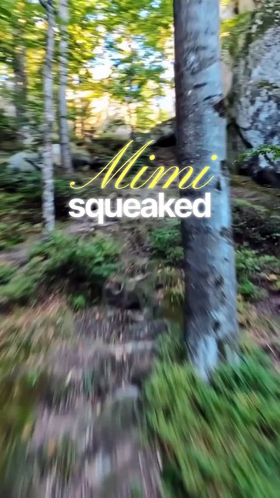 bedtime story for kids Mimi s Magical Giggle Adventure - video Dailymotion