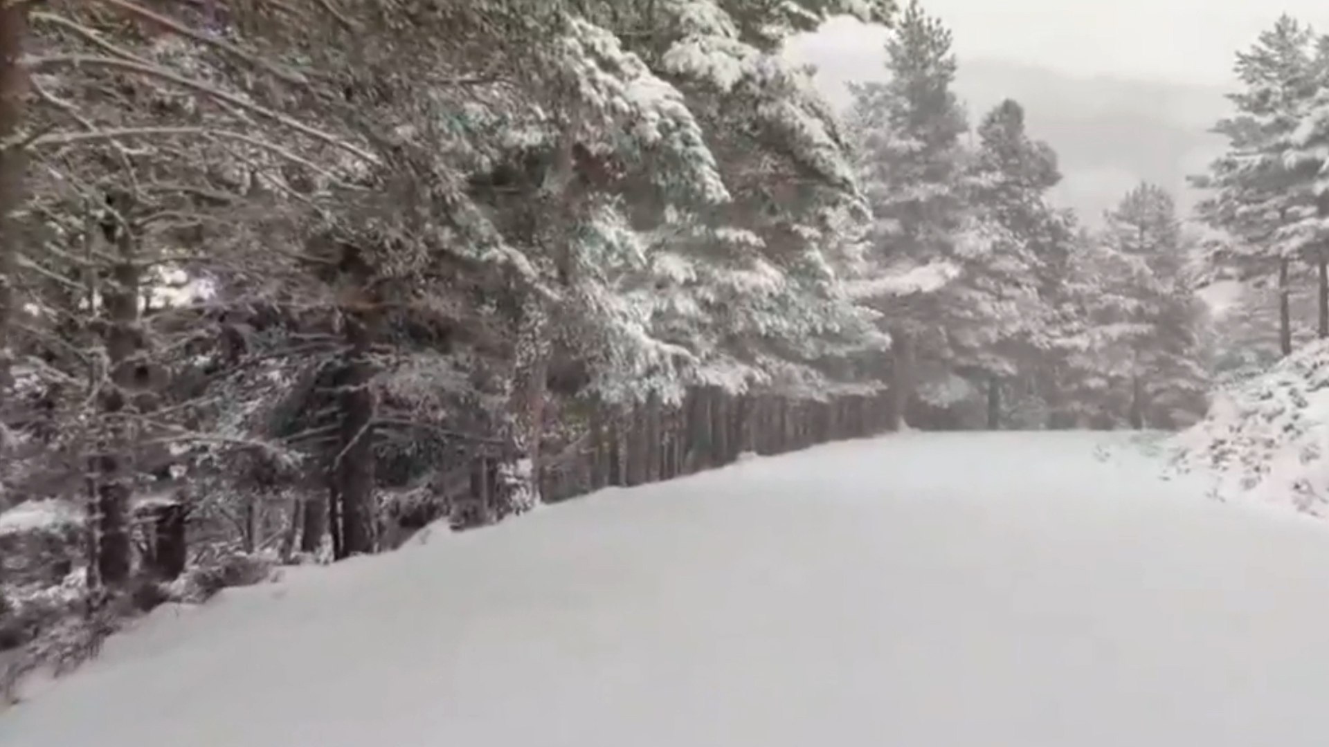 Noticias de Últimos vídeos | EL MUNDO