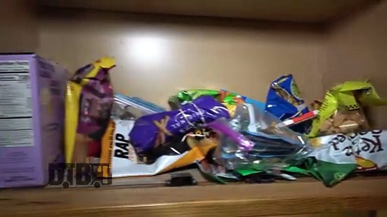 Witherfall - BUS INVADERS Ep. 2159 - video Dailymotion