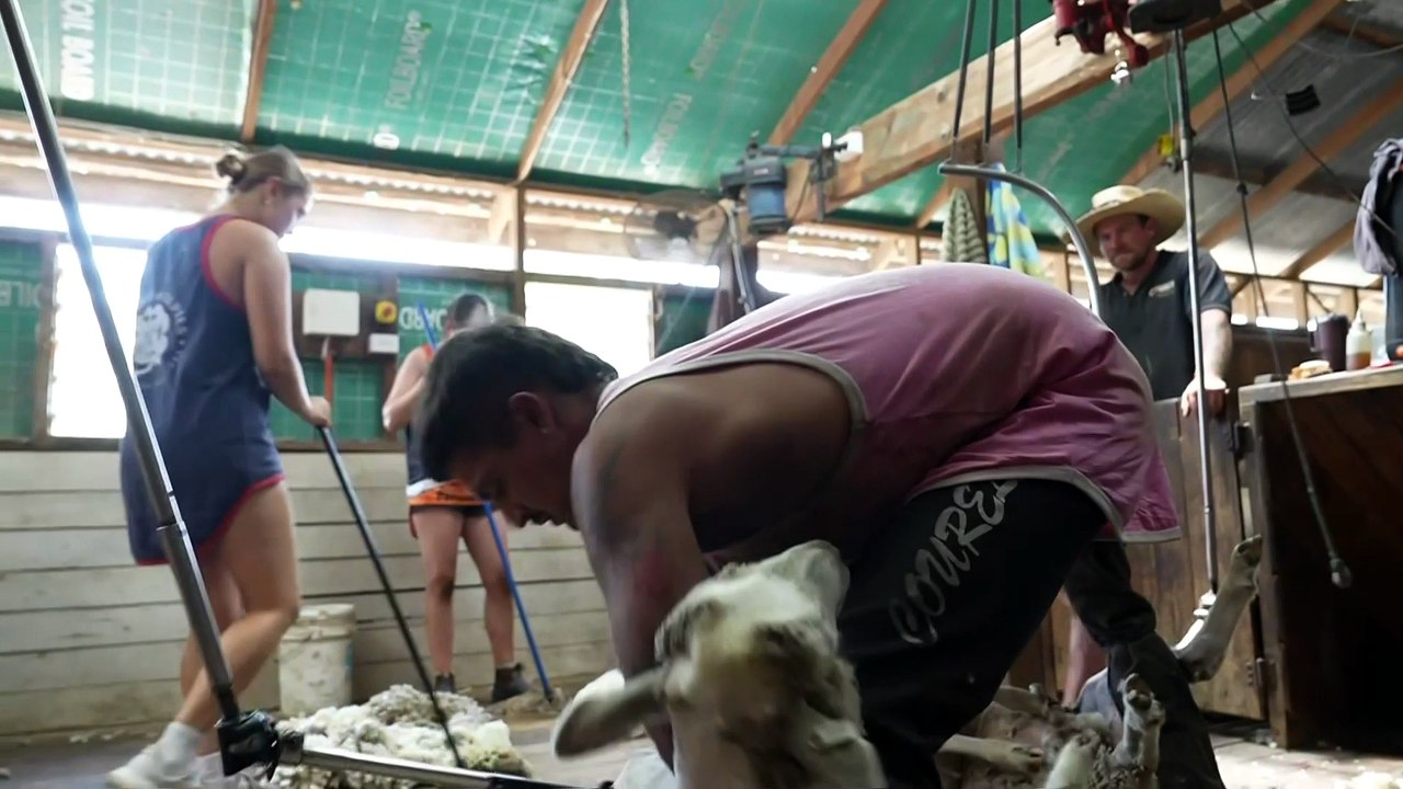 Residents displaced by Victorian bushfires concerned with tight housing ...