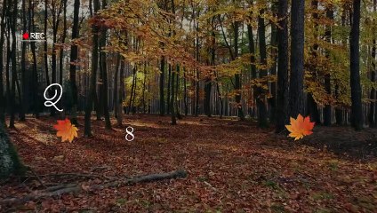 Ways To Reach Quickbooks Enterprise Support Number by Kritika Verse ...