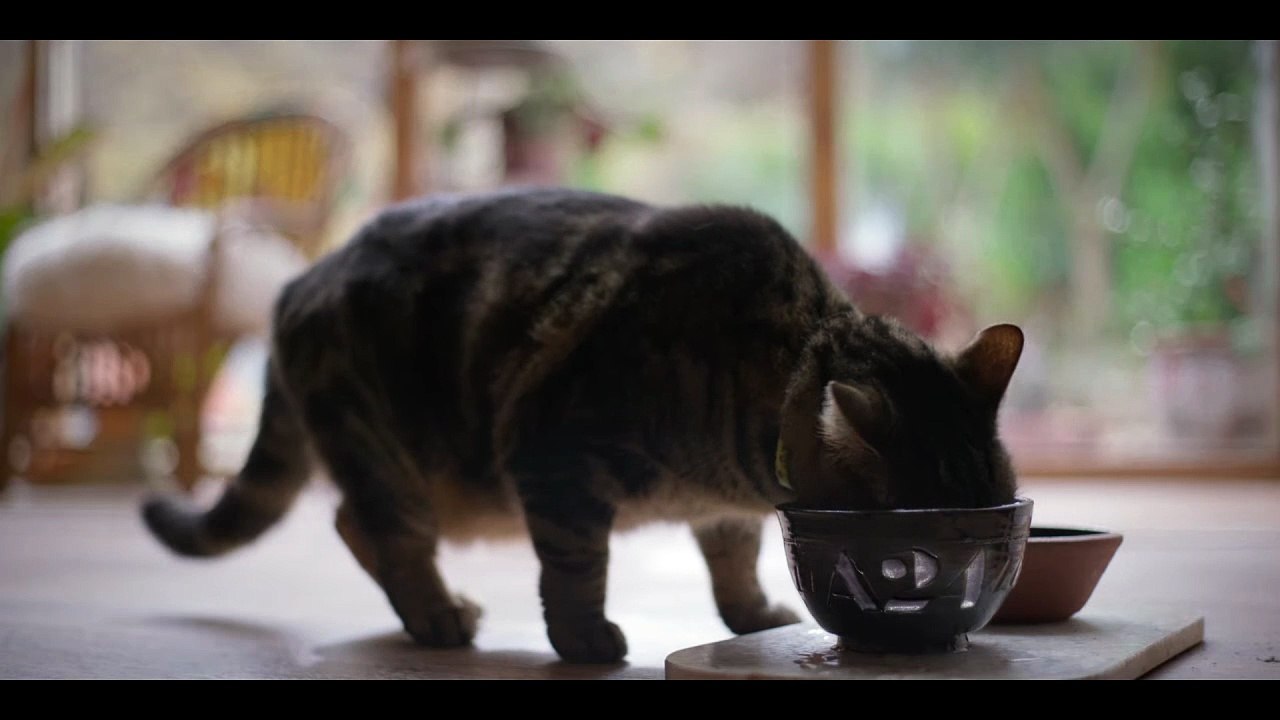 Substitution - Bring Her Back - Bande-annonce #1 [VF|HD1080p] - Vidéo ...