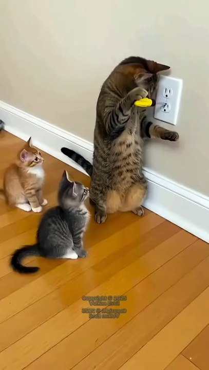 When Love Teaches Patience | A Short Motivational Love Story - video ...