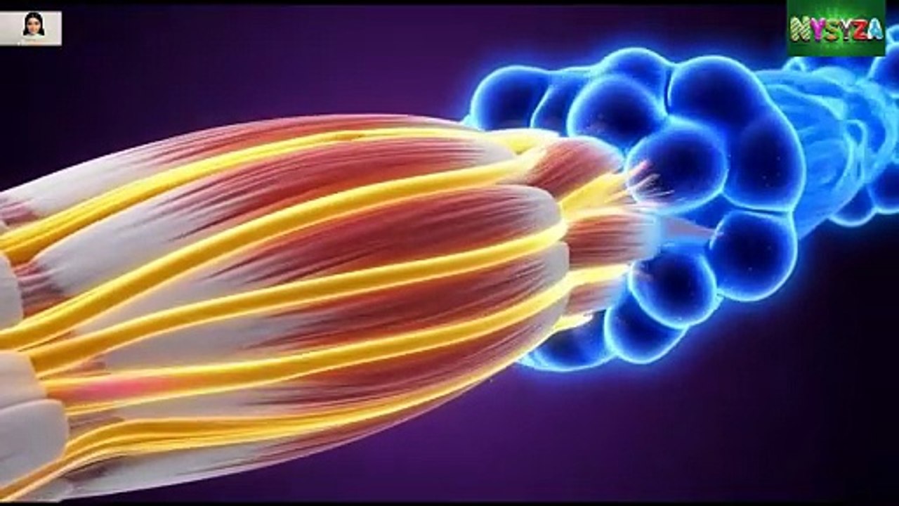 Beef Khane Ke Baad Body Ke Andar Kya Hota Hai? | Full 3D Medical ...