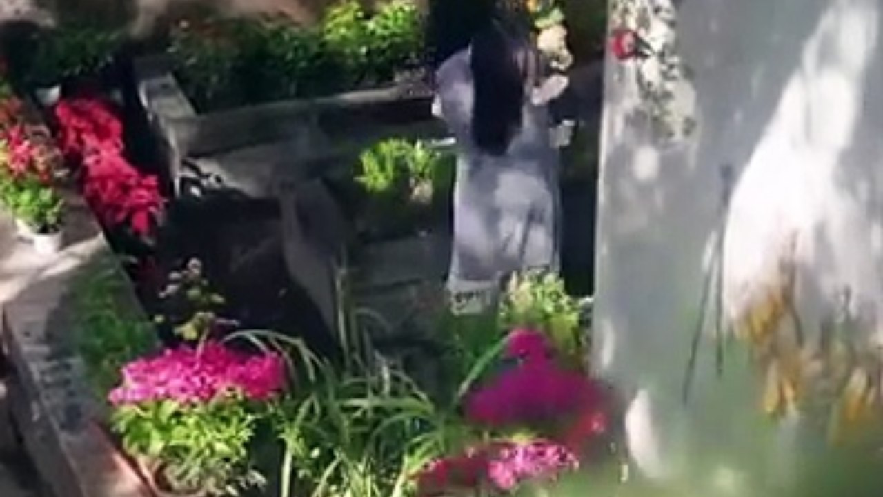 The Upper Class Mocked Me As A Country Girl – Full HD Movie | English ...