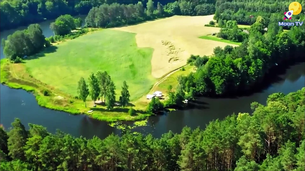 Mindfulness Meditation Music For A Clear Mind - video Dailymotion