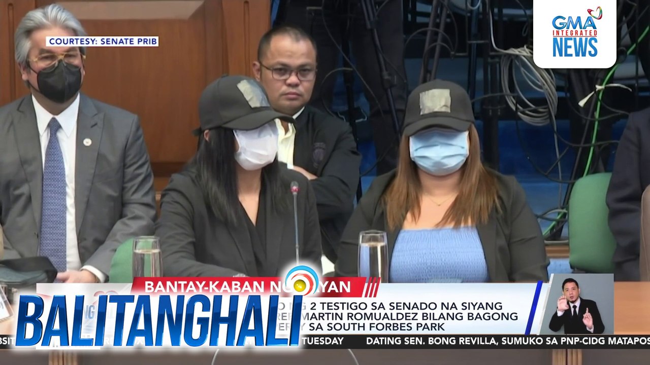 Curlee Discaya, itinuro ng 2 testigo sa Senado na siyang tumukoy umano ...