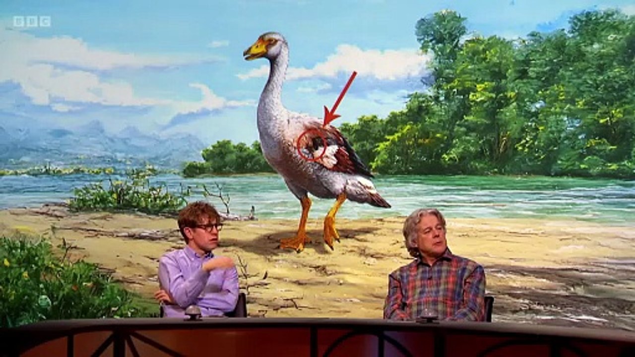 QI XL Season 23 Episode 12 - video Dailymotion