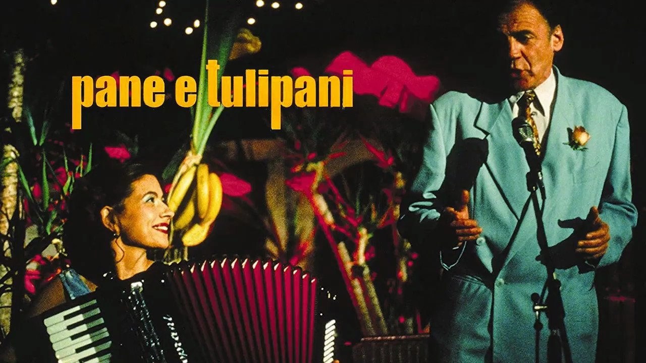 «Pane e tulipani/2000 HD» - Video Dailymotion