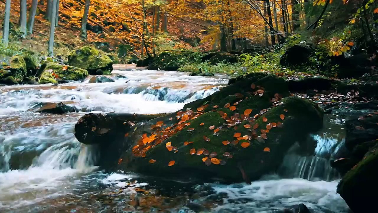 Beautiful Piano Music - Soothing Music For Stress Relief, Meditation ...