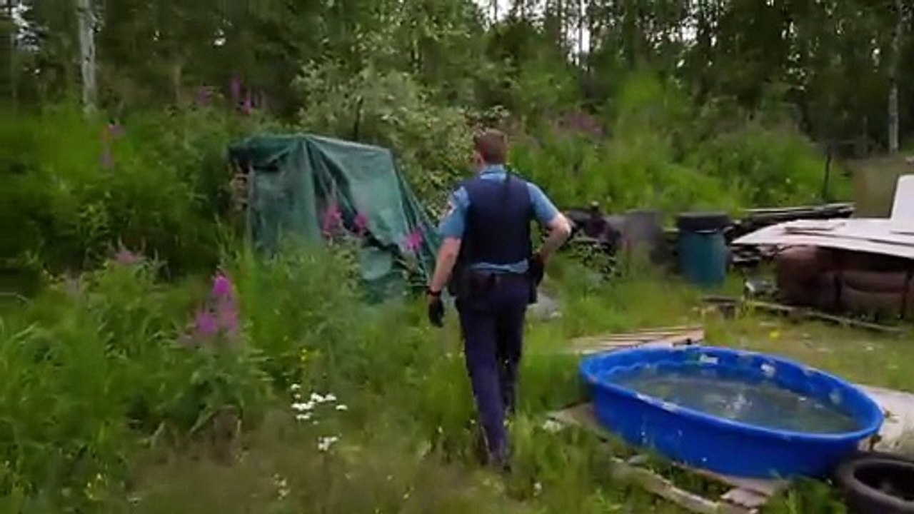 Alaska State Troopers S08E03 Lost in the Woods H 264 - video Dailymotion