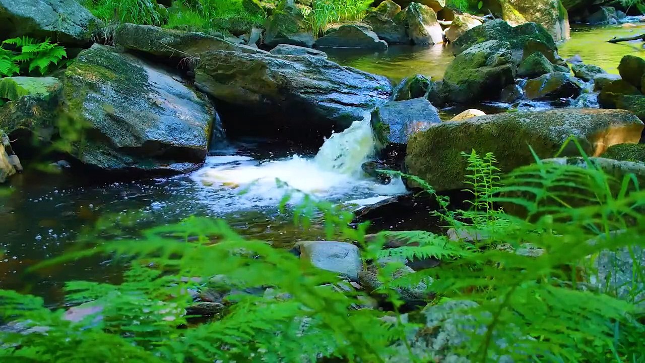 Beautiful Piano Music - Soothing Piano Music For Stress Relief, Healing ...