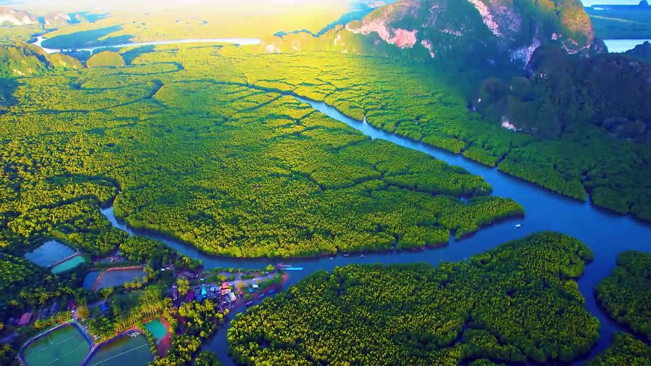 Beautiful Piano Music - Peaceful Piano Music For Stress Relief, Deep ...