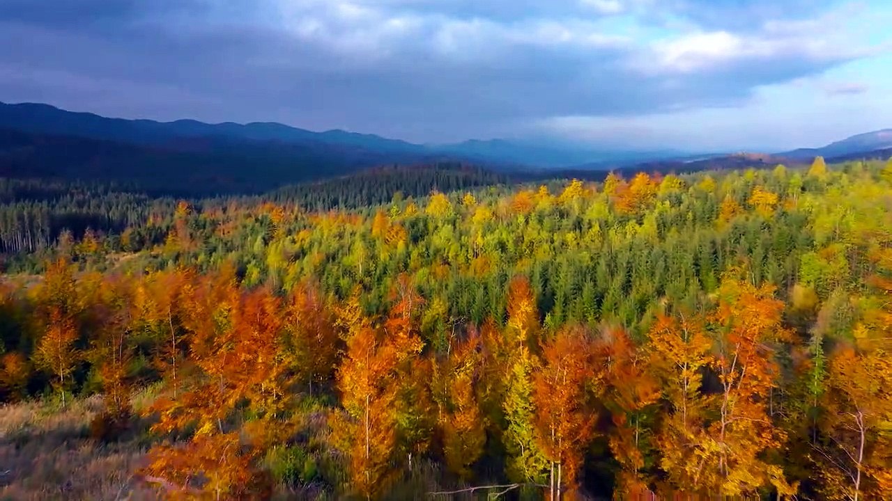 Beautiful Relaxing Music - Peaceful Piano Music, Soothing Music ...