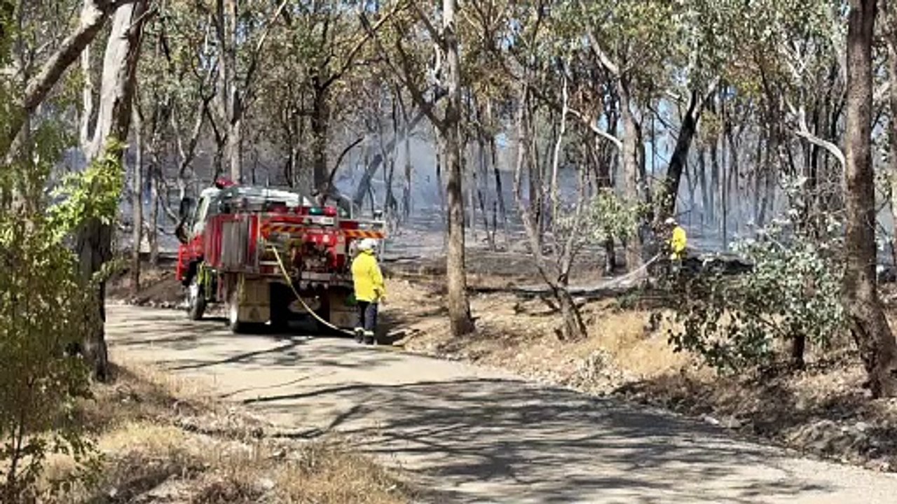 WATCH: Police are treating a Springdale Heights grass and scrub fire as ...