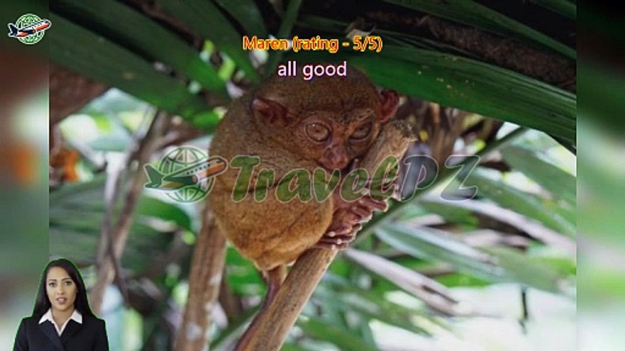 「TravelPZ」 Review Bohol Tagbilaran Pier to Panglao Island/ Tagbilaran ...