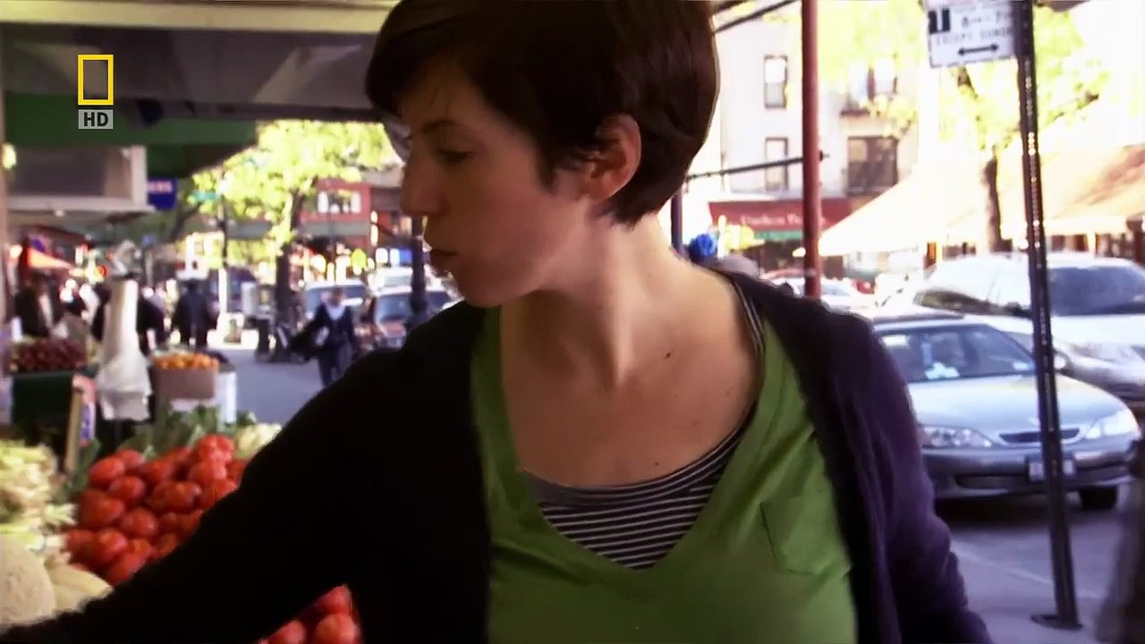 The Human Family Tree (National Geographic Documentary) - video Dailymotion