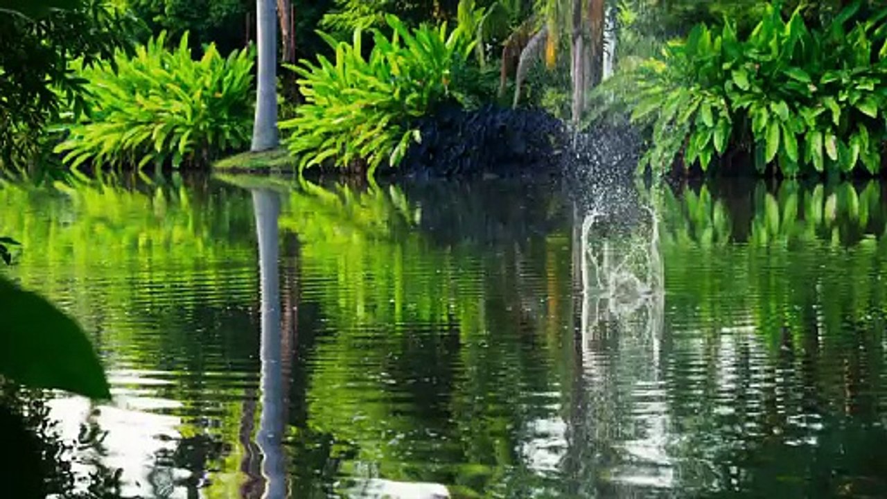 Cap. 3 | Doménica Montero HD 2026 - Vídeo Dailymotion