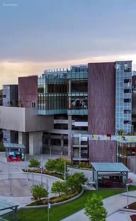 Single Dad Hunt Sm S - Full Movie - video Dailymotion