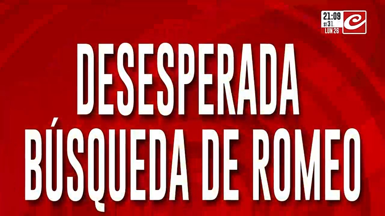 Desesperada búsqueda de Romeo: salio a jugar y no volvió mas - Vídeo ...