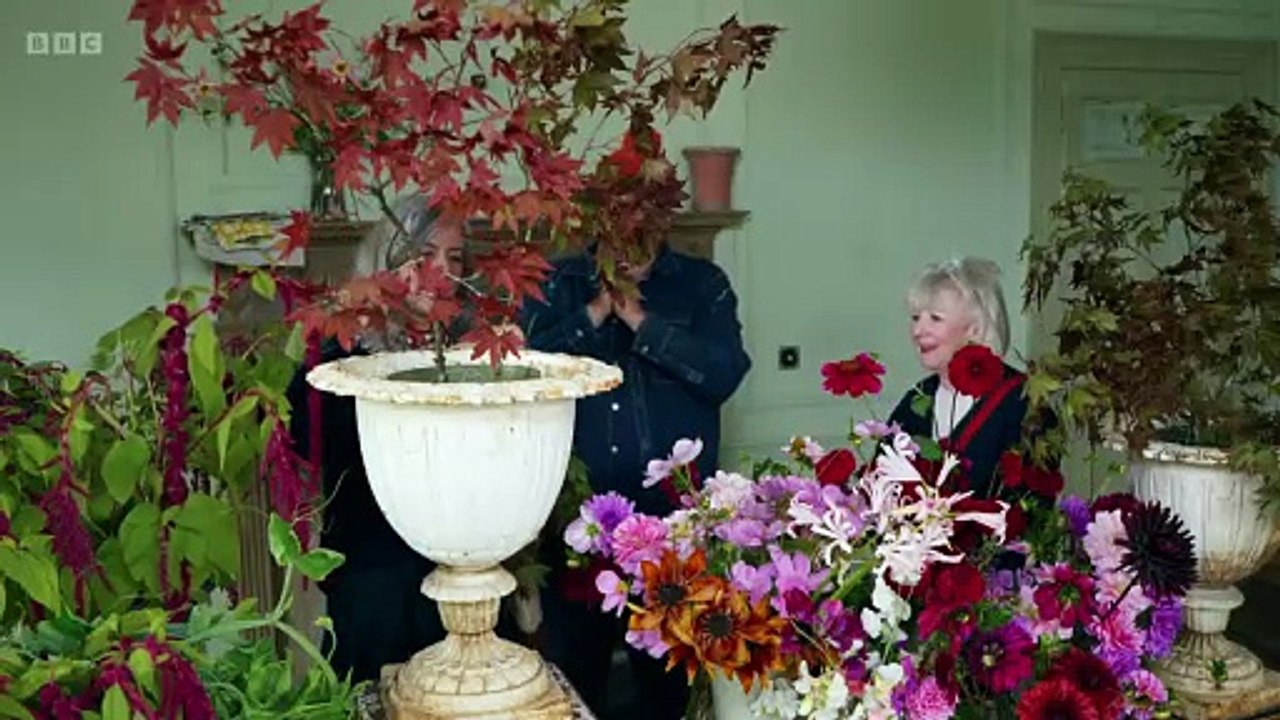 Banjo and Ro's Grand Island Hotel - Season 1 Episode 4 - Mother Nature ...