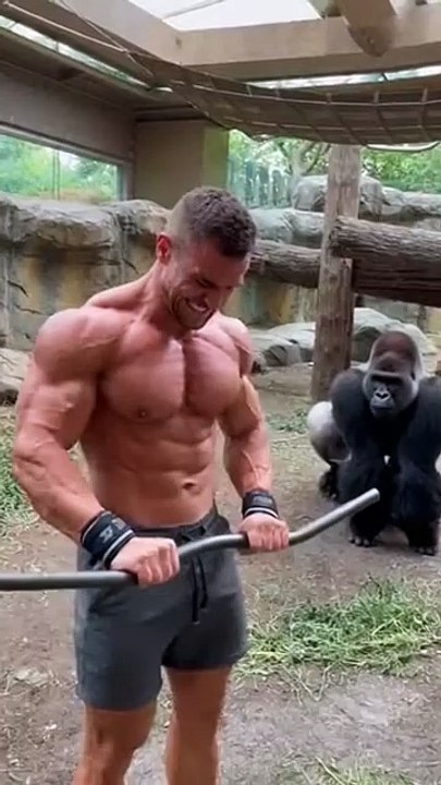 Real Strength Test Bodybuilder vs Gorilla (Steel Rod Challenge) - video ...