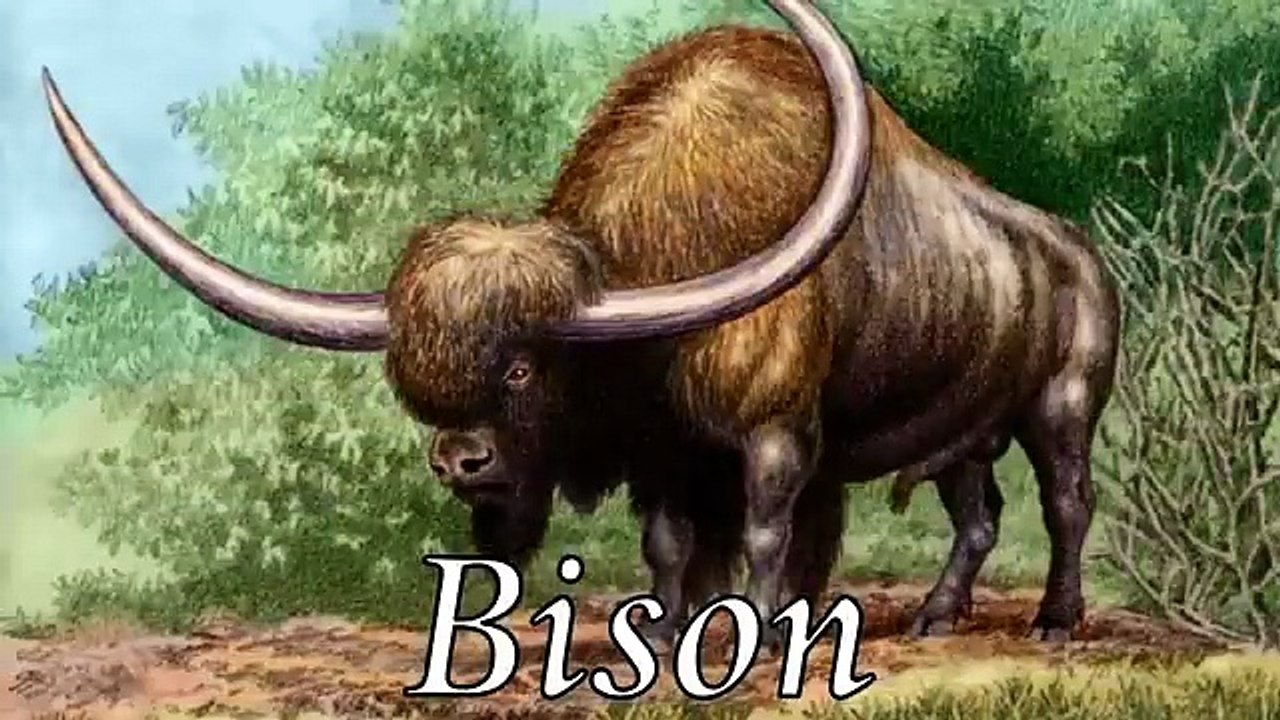 Extinct Animals The Native Americans Saw 360p Video Dailymotion