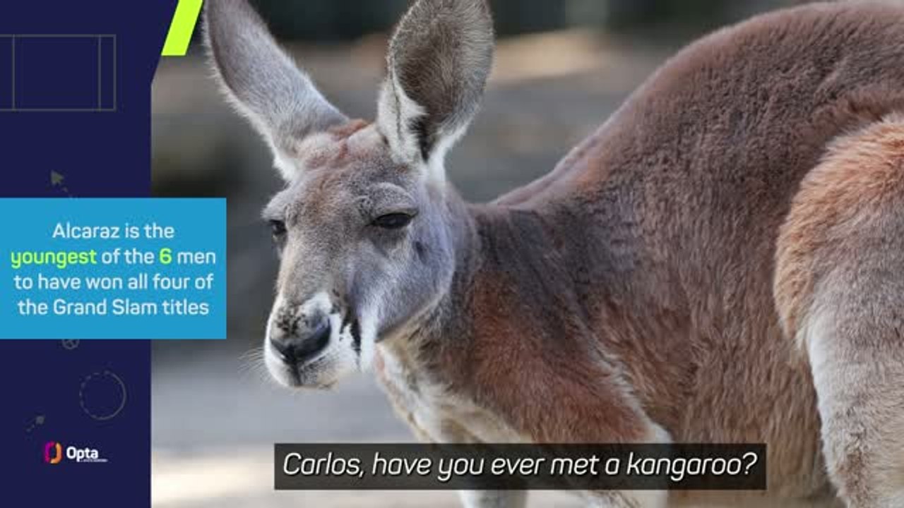 Alcaraz planning kangaroo tattoo to mark career Grand Slam - video ...
