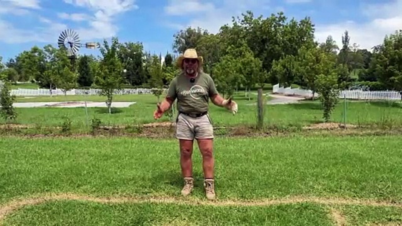 Rick Smith has a plan for the obscene graffiti on his lawn - video ...
