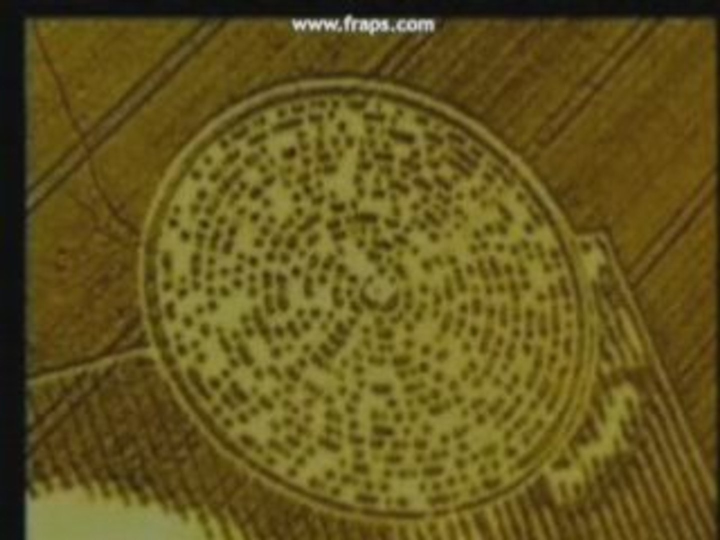 Alien Crop Circle Response