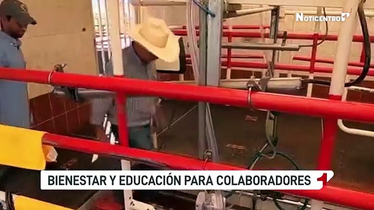 "Contribuimos al bienestar humano": Mauricio Campillo, presidente de la ...