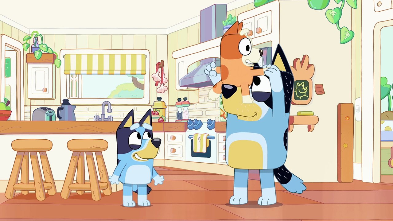 Bluey Episode 2 Complet | Hospital | Bluey Season 1 - video Dailymotion