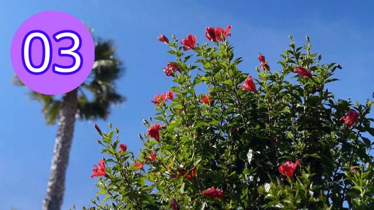 skate tales s04e03 13 Episode 3 Engsub - video Dailymotion